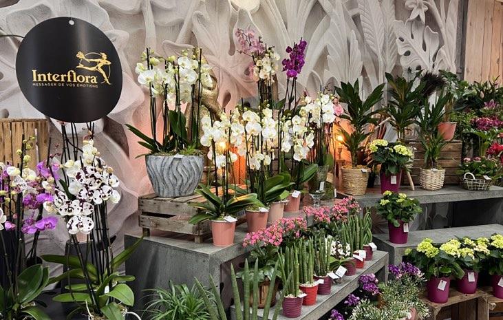 Le Lupin - Fleuriste - Jardin - Animaux, à Saint-Orens-de-Gameville ...